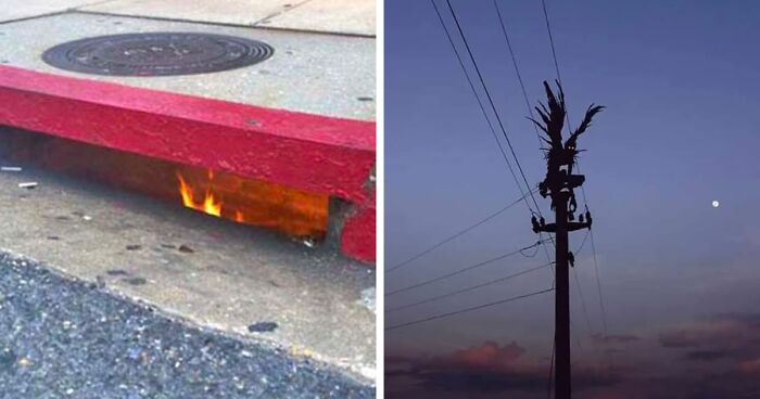 Apparently, There’s A Dedicated Twitter Page Called “Cursed Images” And ...