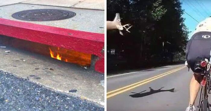 Apparently, There’s A Dedicated Twitter Page Called “Cursed Images” And ...