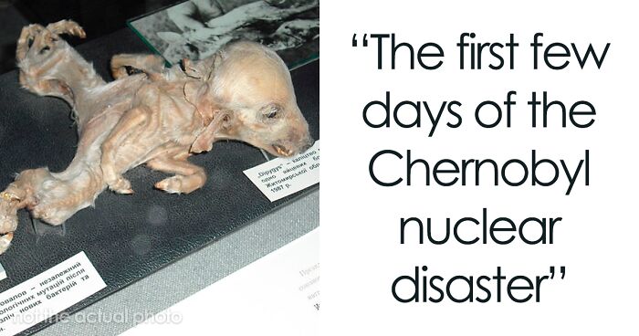 30 Times Authority Figures Misled The Public By Telling Them The Most ...