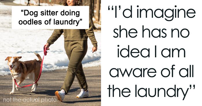 Dog-Sitter Does ‘Insane Amount’ Of Laundry At Client’s Home Without ...