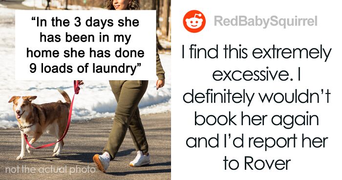 Dog-Sitter Does ‘Insane Amount’ Of Laundry At Client’s Home Without ...