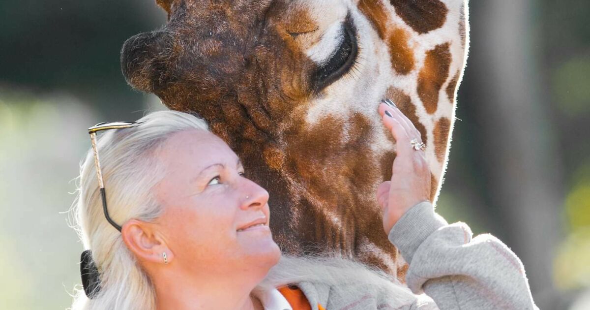 I Took Photos Of The Zookeeper Having Morning Coffee With Her Best ...