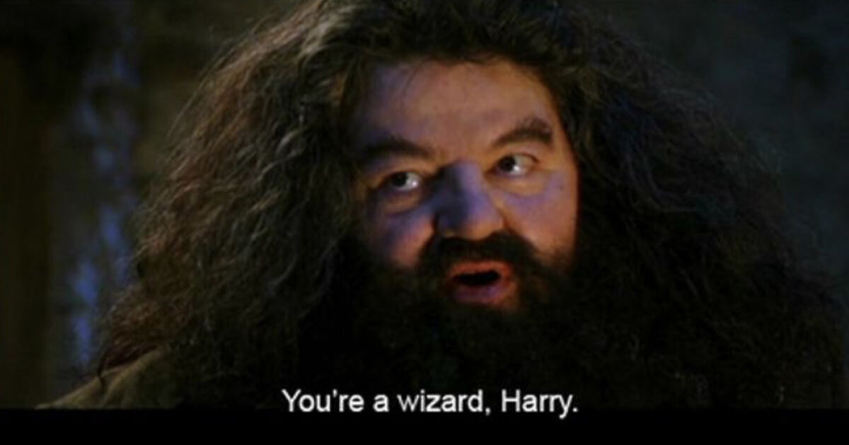 Hey Pandas, Post A Picture Of Your Favorite Hagrid Scene From Harry ...