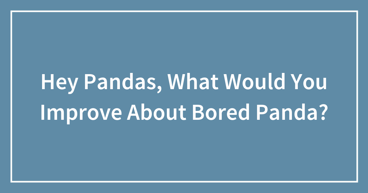 Hey Pandas, What Would You Improve About Bored Panda? (Closed) | Bored ...