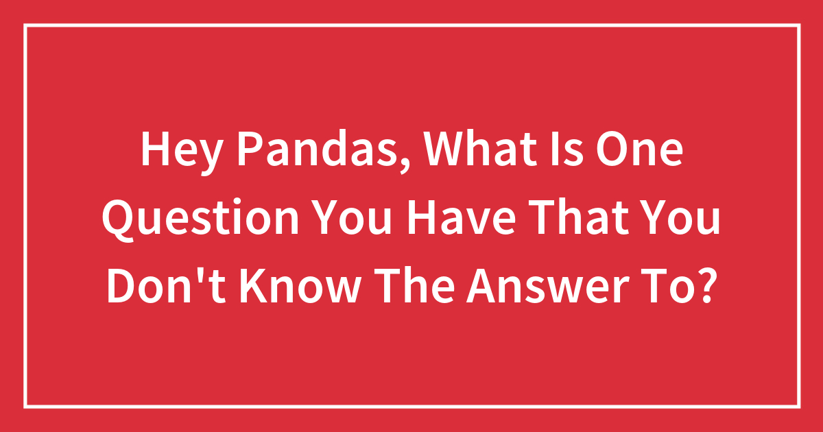 Hey Pandas, What Is One Question You Have That You Don’t Know The ...