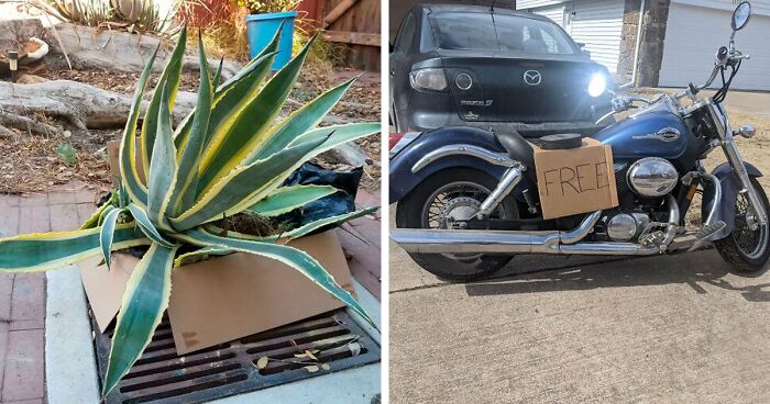 40 Of The Luckiest “Curb Finds” That People Just Stumbled Upon | Bored ...