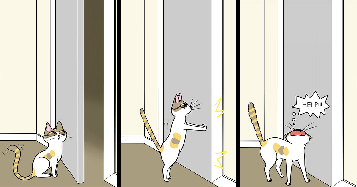 Artist Makes Comics About Her Daily Life With A Boyfriend And A Cat ...