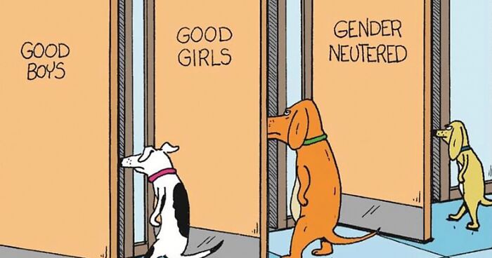 50 Humorous And Silly Comics By Rubes Cartoons