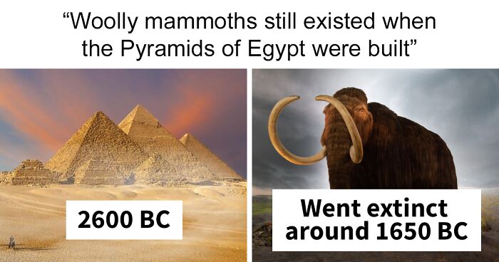 This Online Group Shares Random Timeline Comparisons That Might Mess With Your Perception Of ...