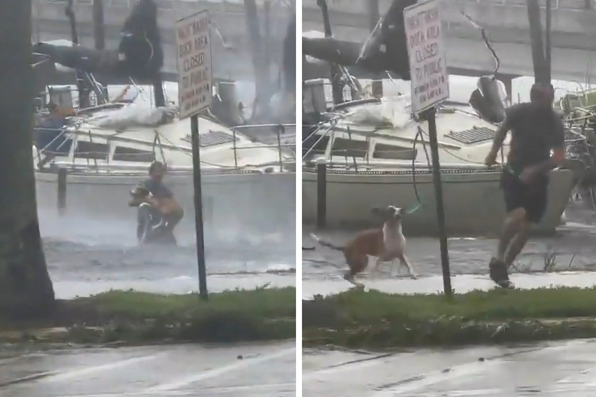 People Online Applaud Ordinary Heroes Who Risked Their Lives To Save ...