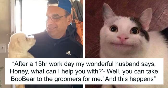 “He Had One Job!”: Husband Goes To Groomers, Comes Home With The Wrong ...