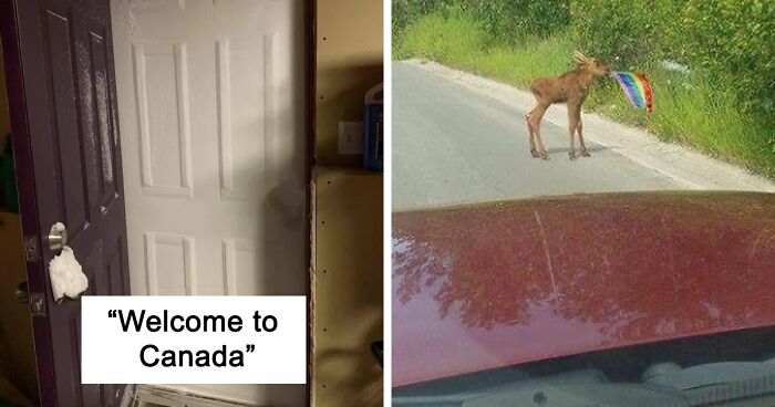 “Meanwhile, In Canada”: 50 Photos That Perfectly Sum Up Canada (New ...
