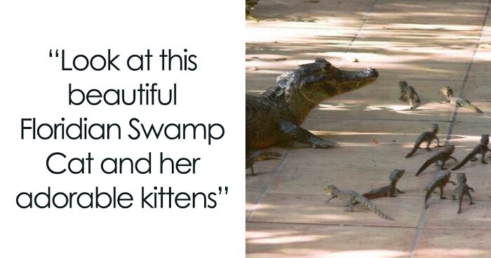 This Twitter Page Is Dedicated To Mischievous Animal Memes, Here Are 35 ...