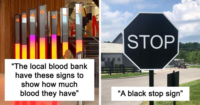 50 Times People Spotted Such Genius Signs, They Just Had To Document ...