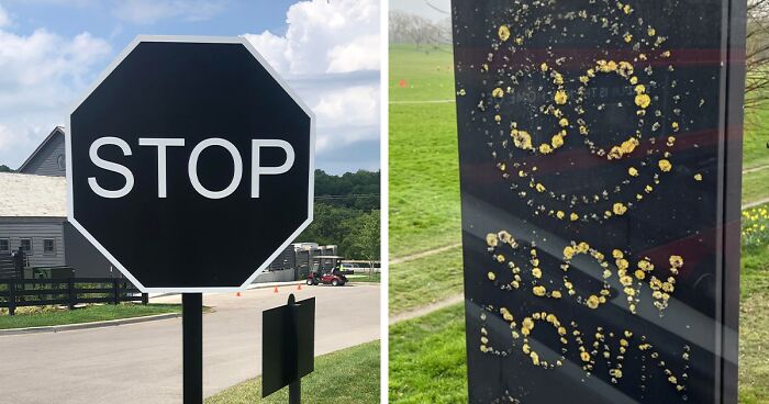50 Times People Spotted Such Genius Signs, They Just Had To Document ...