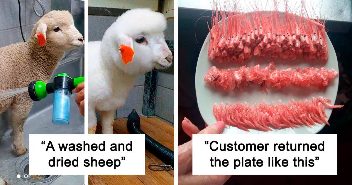 This Online Group Is Dedicated To Things That Are Inexplicably ...