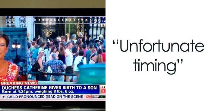 50 “Perfectly Timed Pics” That Might Make You Look Twice | Bored Panda