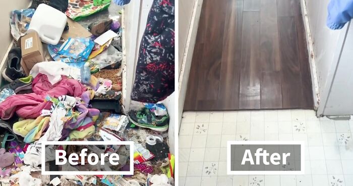 Psychology Student Deep Cleans “Unlivable” Homes To Help Their Owners ...