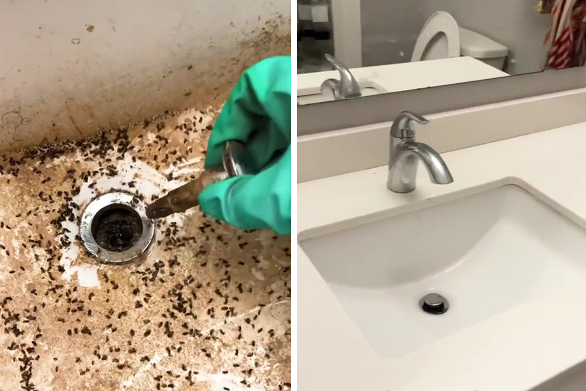 Psychology Student Deep Cleans “Unlivable” Homes To Help Their Owners ...