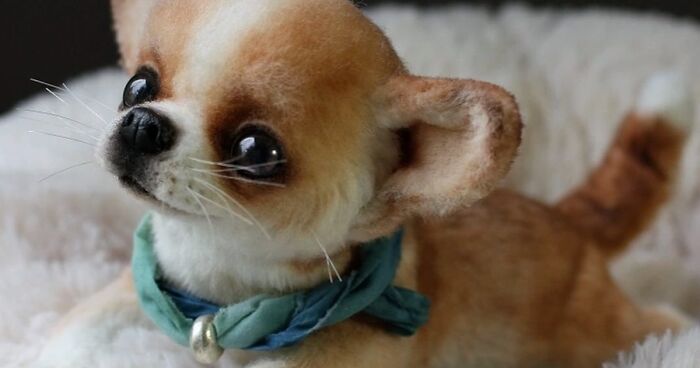 41 Miniature Animal Sculptures From Wool Made By This Artist | Bored Panda