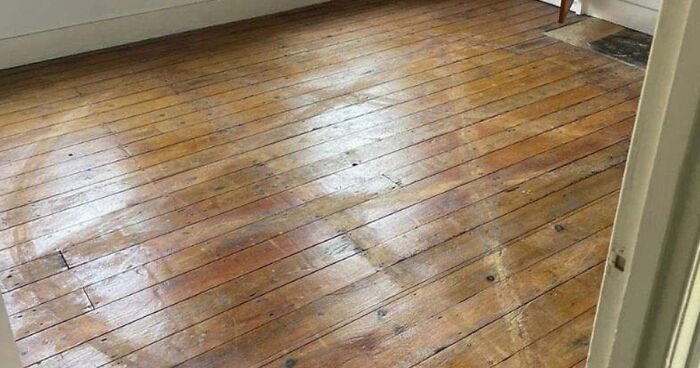 This Page Only Shares Horror-Related Content, And Here’s 35 Of Their ...