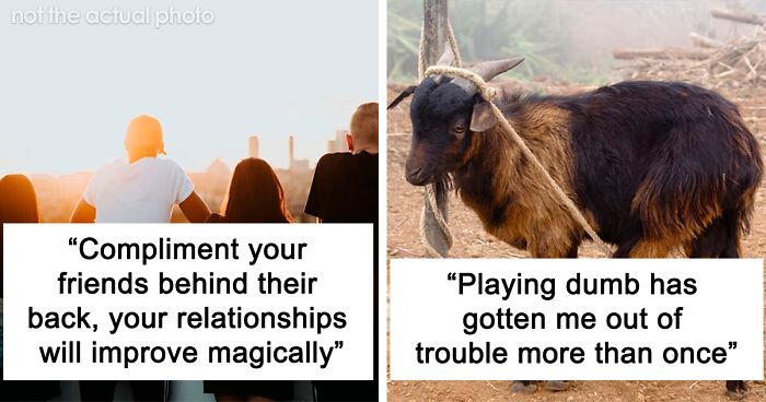 People Are Sharing “Cheat Codes” For The Game Of Life That Actually ...