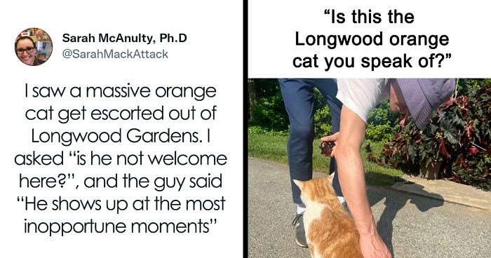 People Are Cracking Up At This Tweet In Which A Woman Tells How She Saw ...