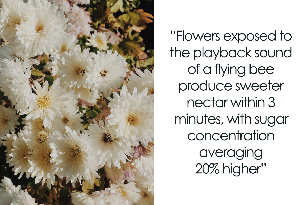 “Today I Learned”: People Share 40 New Curious Facts You Can Learn ...