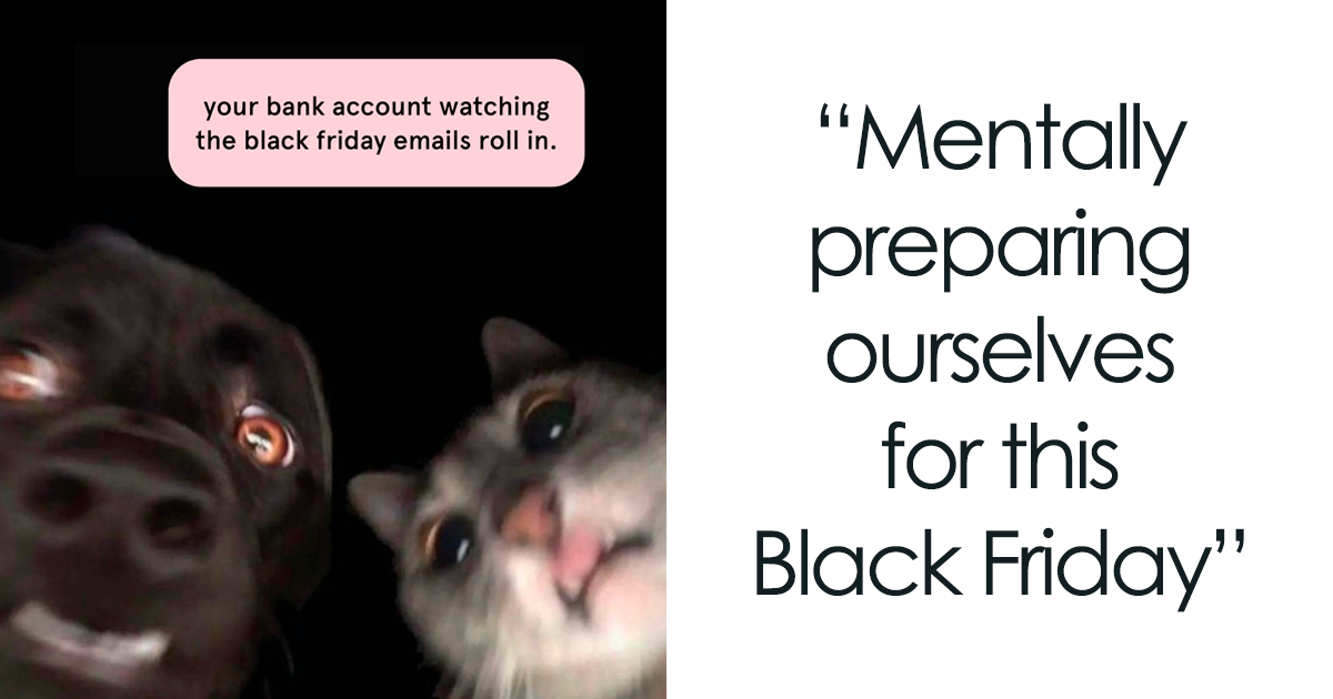 Black Friday Memes Special Offer For The Best Laughs | Bored Panda