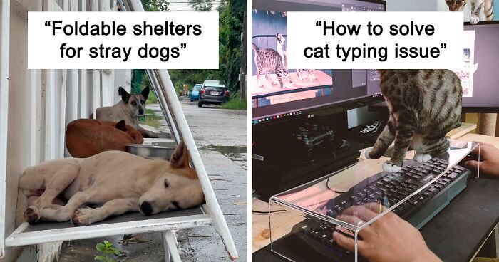 50 Genius Pet Inventions You Didn’t Know You Needed To Be The Coolest ...