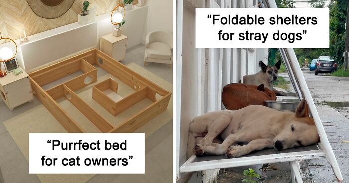 50 Genius Pet Inventions You Didn’t Know You Needed To Be The Coolest ...