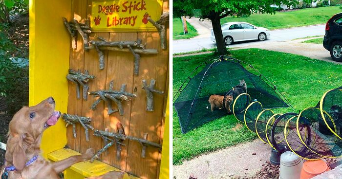 50 Genius Pet Inventions You Didn’t Know You Needed To Be The Coolest ...