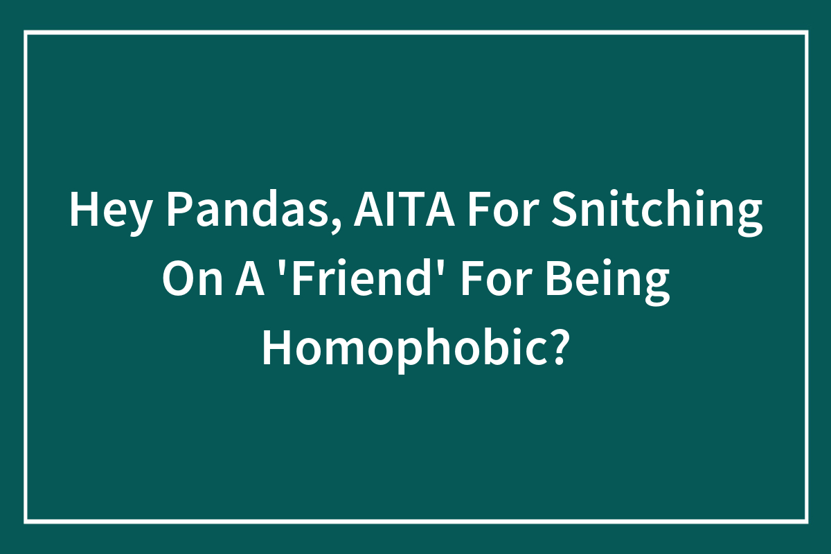 Hey Pandas, AITA For Snitching On A ‘Friend’ For Being Homophobic? (Closed) | Bored Panda