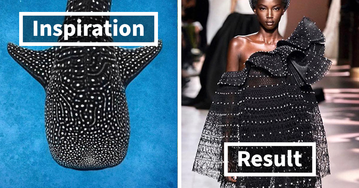 Fashion Often Draws Inspiration From Nature And This Instagram Account ...