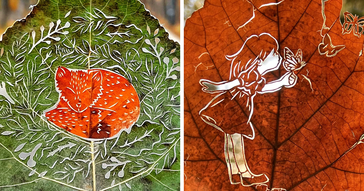 I Made Cutouts On A Real Tree Leaf (13 Pics) | Bored Panda
