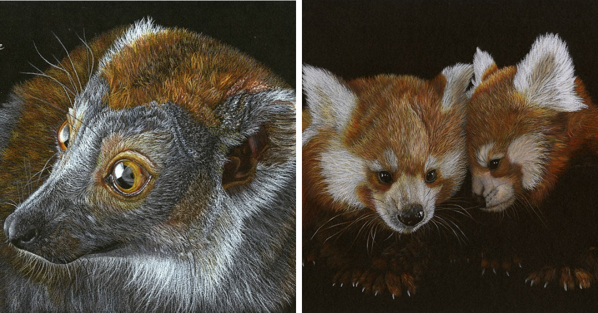 My Annual Drawings Against The Extinction Of Endangered Animals | Bored ...