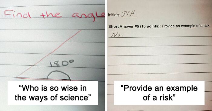 50 Of The Sassiest And Funniest Test Answers (New Pics)