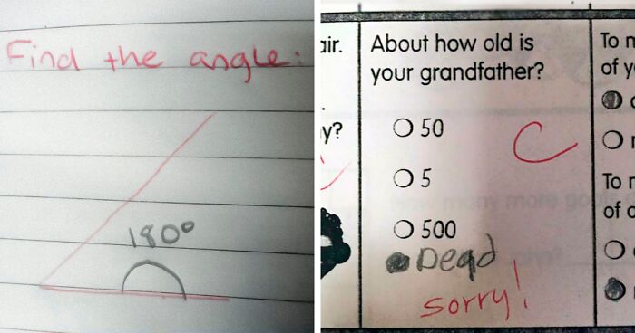50 Of The Sassiest And Funniest Test Answers (New Pics)