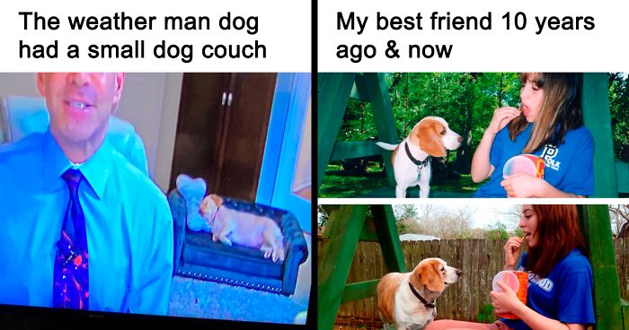 50 Memes That Are So Wholesome, You Can Even Show Them To Your Grandma ...