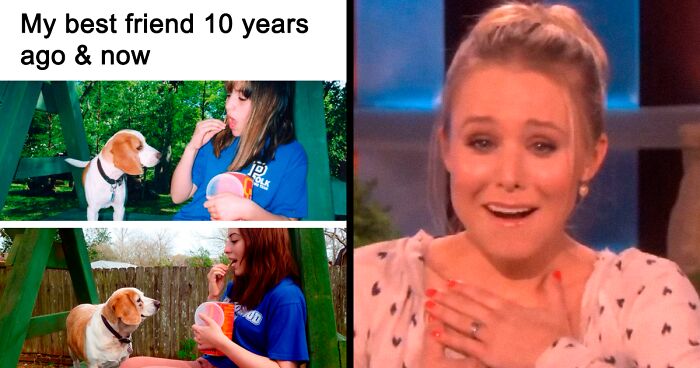 50 Memes That Are So Wholesome, You Can Even Show Them To Your Grandma ...