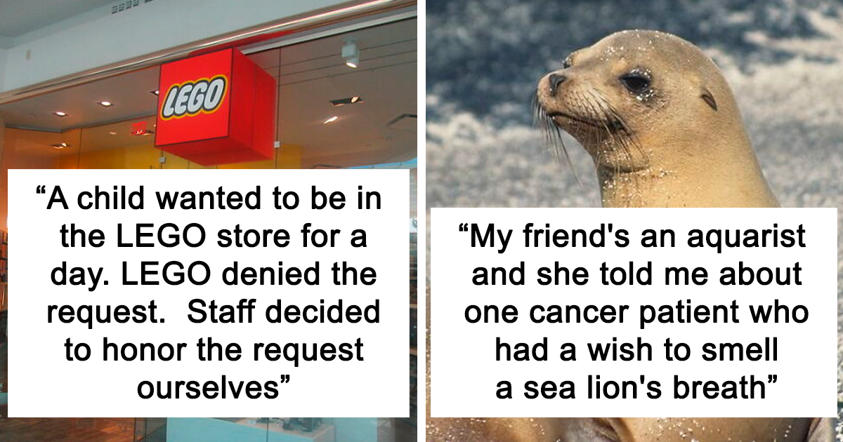 40 Of The Strangest Wishes That The Make-A-Wish Foundation Actually ...