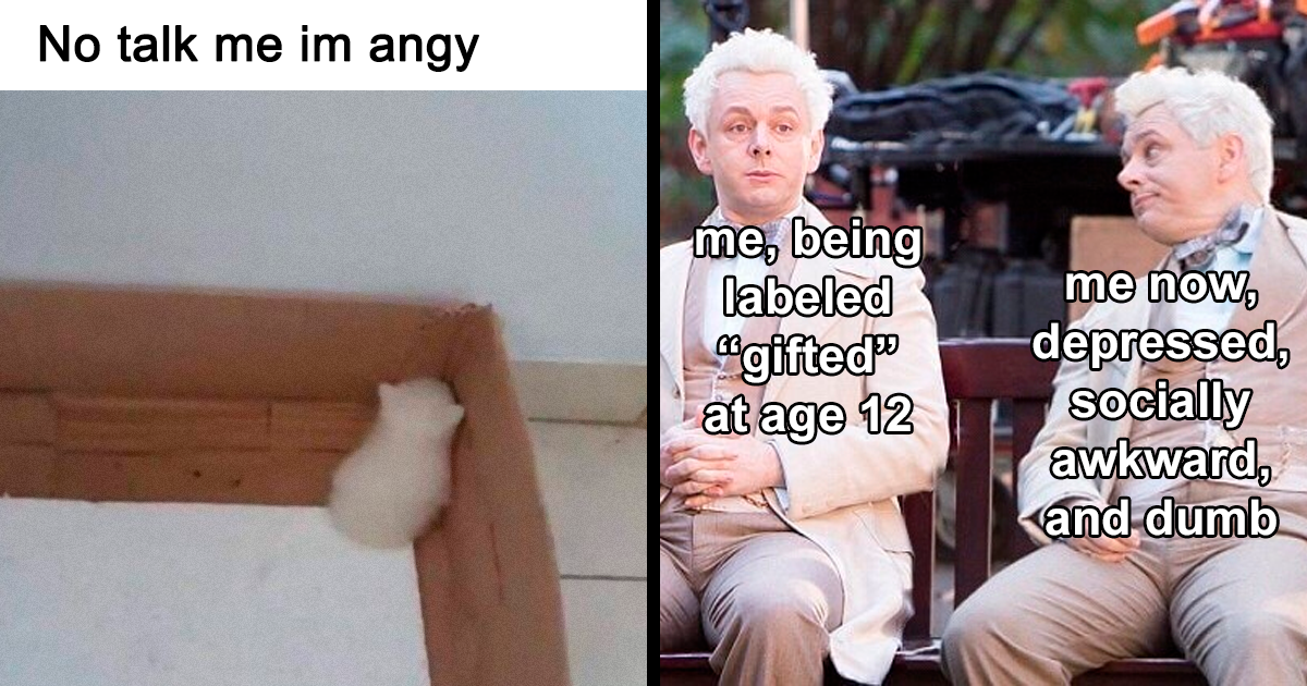 ‘Memes To Discuss In Therapy’: 35 Painfully Hilarious Memes That Might ...