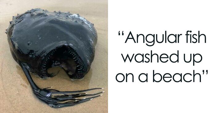 50 Times People Failed To Use The Correct Words And It Resulted In ...