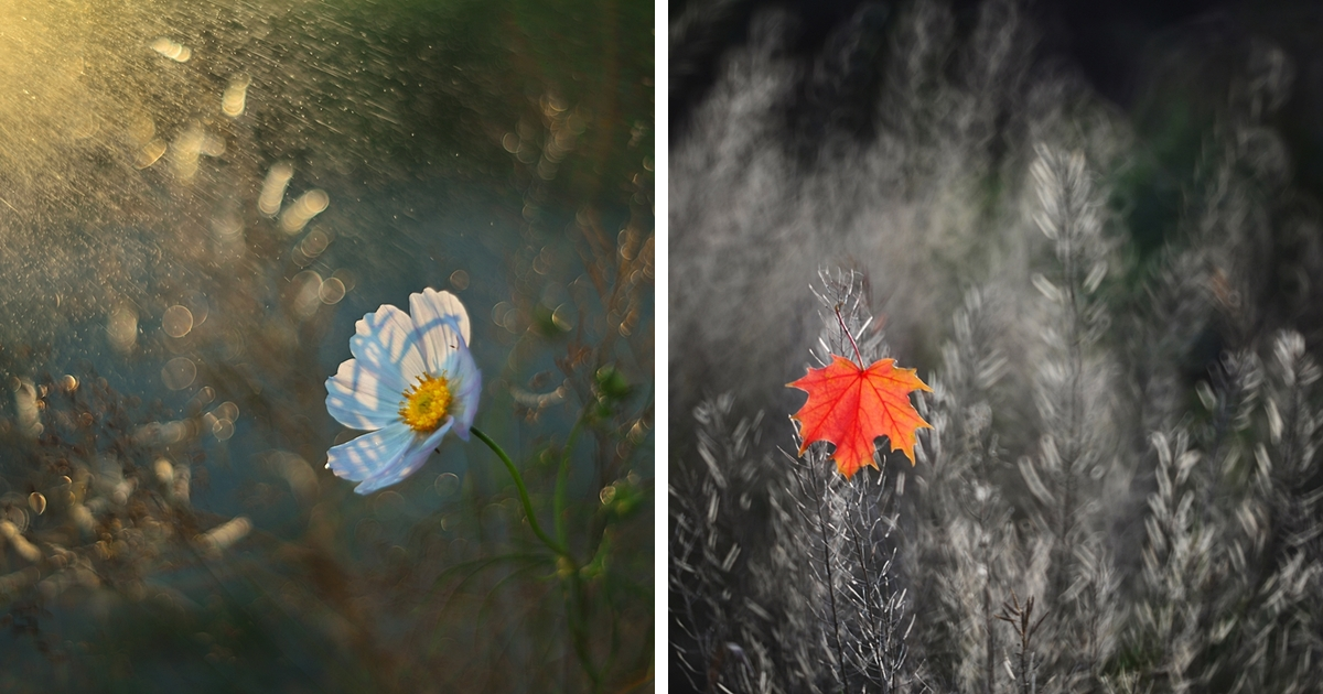 My 35 Photos Capture Nature In Spring, Summer, And Autumn | Bored Panda
