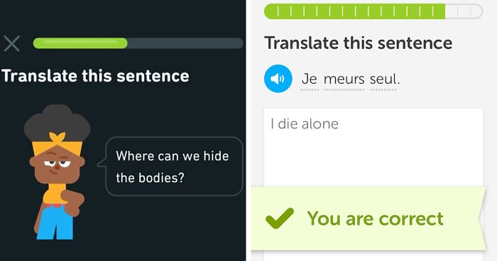 40 Of Duolingo’s Funniest And Most Random Translation Prompts, As ...