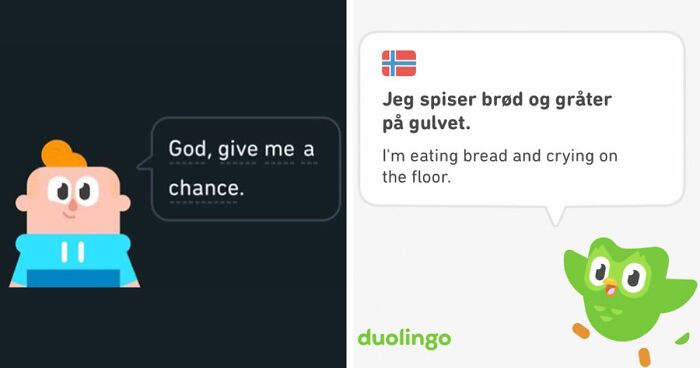 40 Of Duolingo’s Funniest And Most Random Translation Prompts, As ...