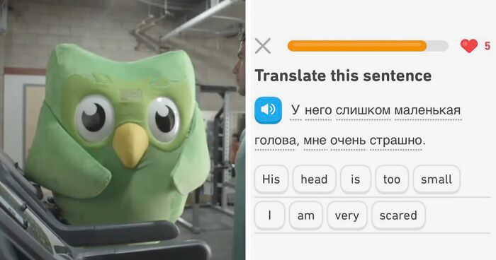 40 Of Duolingo’s Funniest And Most Random Translation Prompts, As Shared By This Twitter Account
