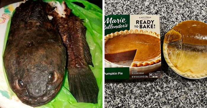 32 People Who Had A Worse Thanksgiving Day Than You | Bored Panda