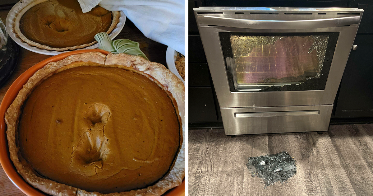 32 People Who Had A Worse Thanksgiving Day Than You | Bored Panda