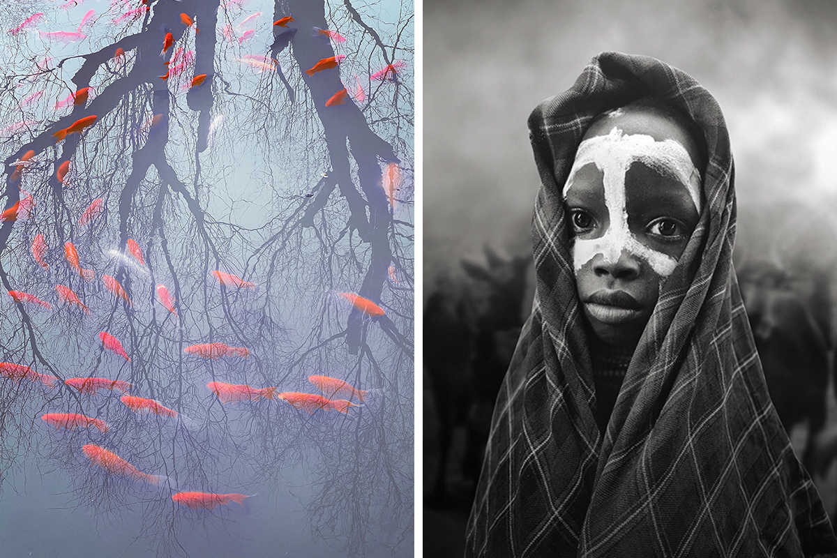 The 2021 Annual Mobile Photography Award Winners Will Make You Rethink ...